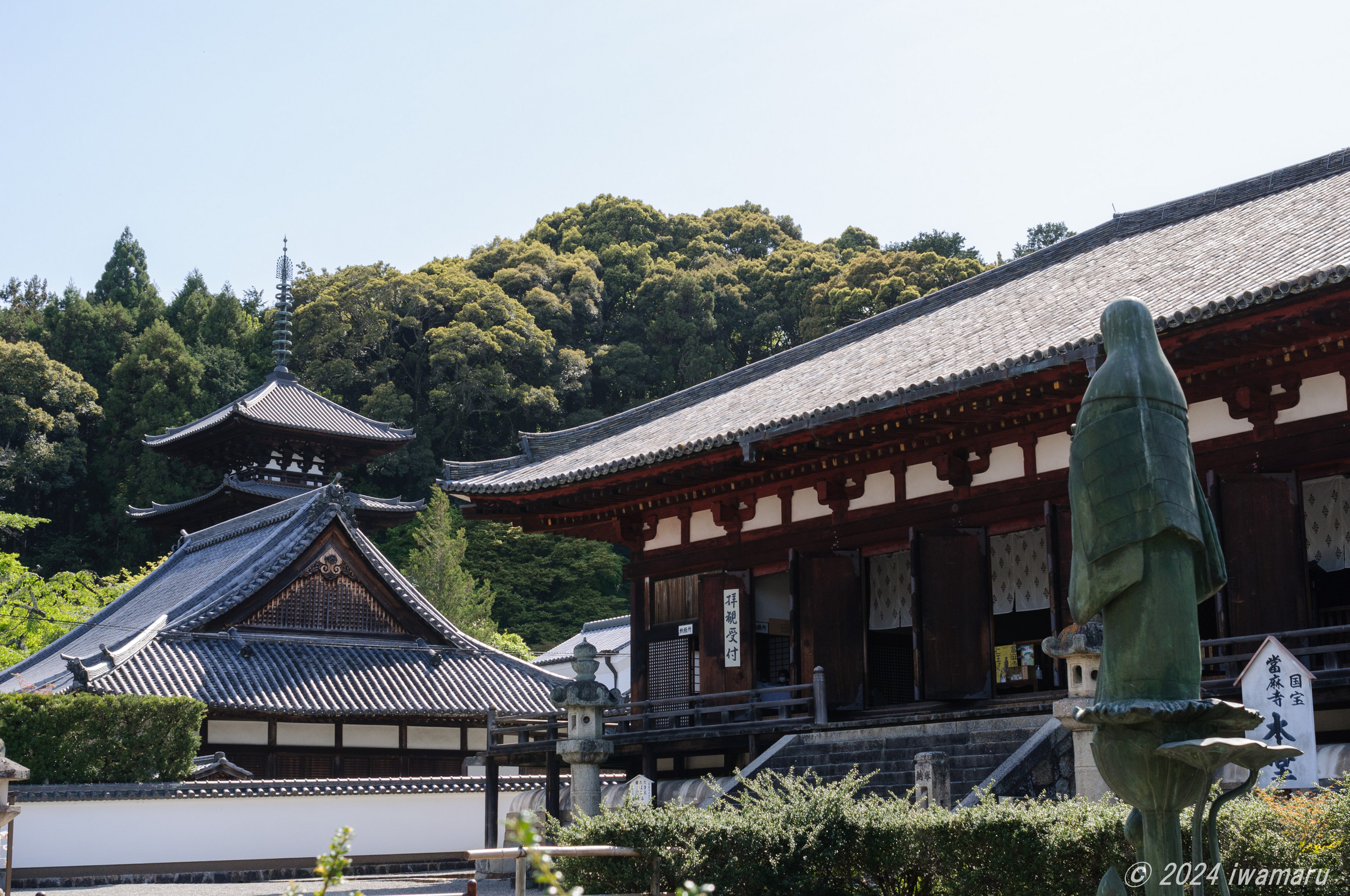 RAW現像環境、Lightroom6.14 を Windows11に移行しました - photoいろ メモリーズ