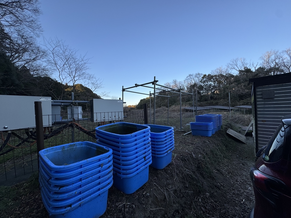 千葉養魚場をグルグル巡る - 堀切めだか