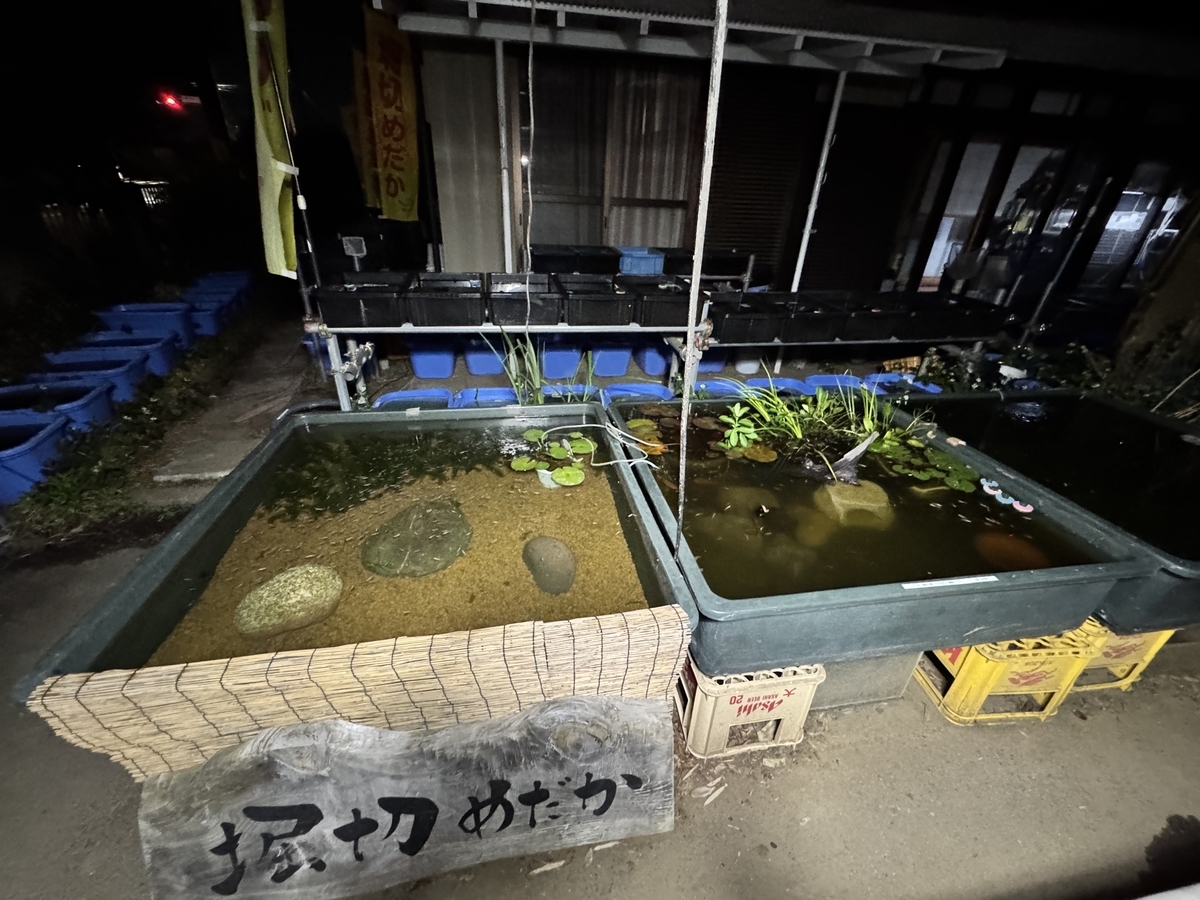 堀切めだか18号店（千葉市若葉区） - 堀切めだか