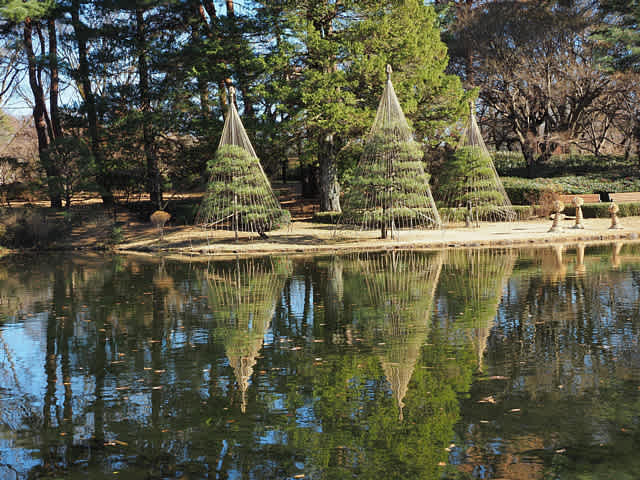 神大植物園を歩いて - janko’s diary