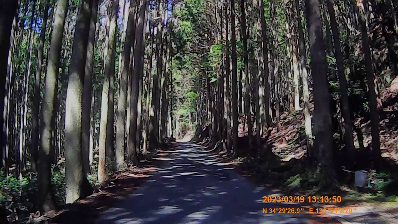No.262 国道369号 - めざせ！国道走破