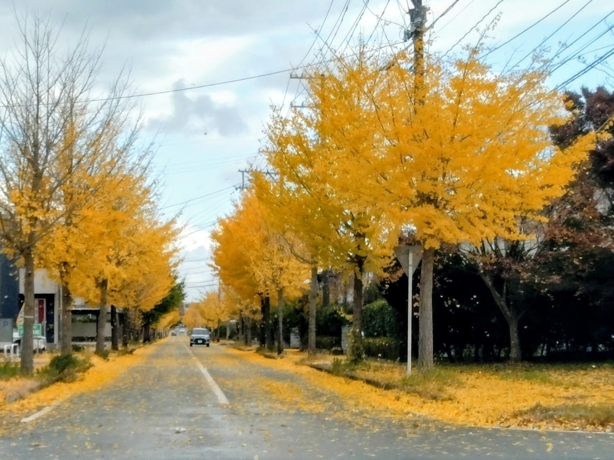 鮮やか - DFEの屋根裏BLOG