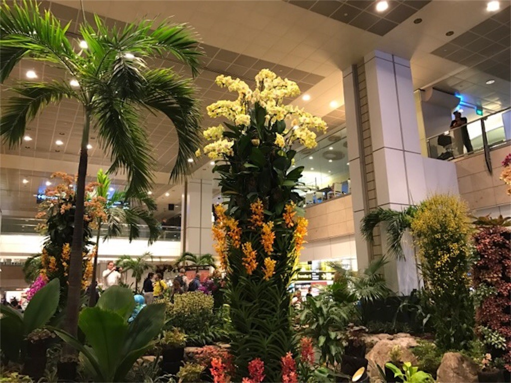 【弾丸旅行記2017年1月】日帰りでシンガポール観光に行ってきました！ - いつか連れてくよオアフ島