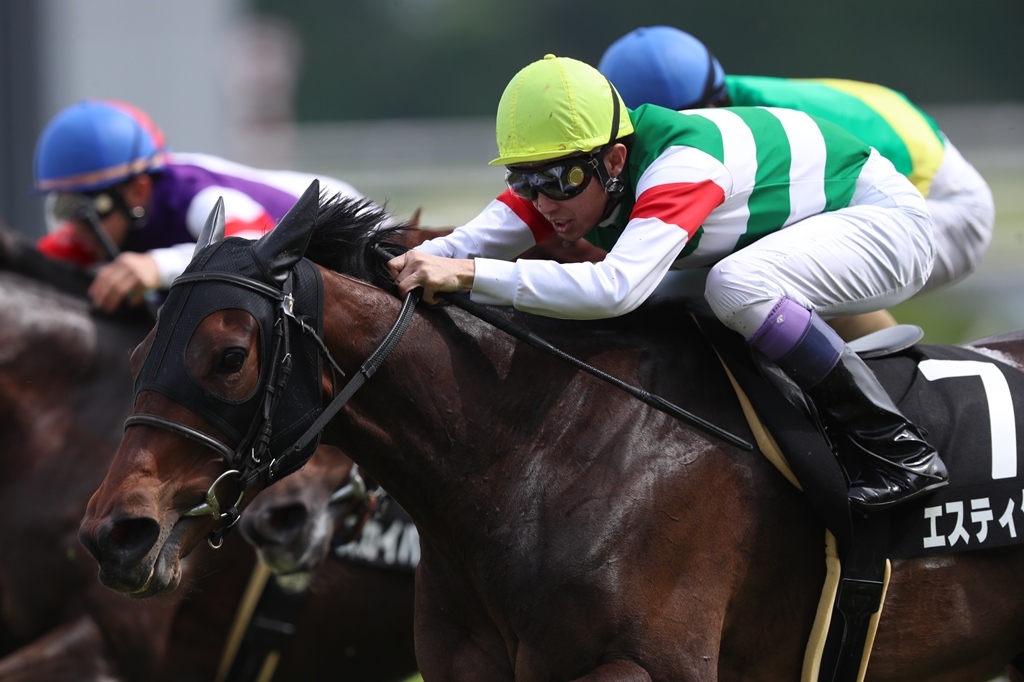 【アメリカジョッキークラブカップ(AJCC)2019予想／出走予定馬分析】中山芝2200mで好走歴を持つベテランホースに注目！調教パターンを切り替えてから成績が向上！ - レッドアタックの競馬 ...