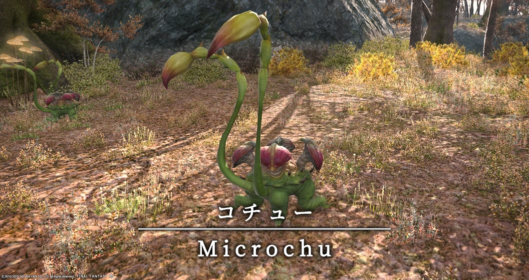 【FF14】 モンスター図鑑 北部森林 - さにすとのにちじょう