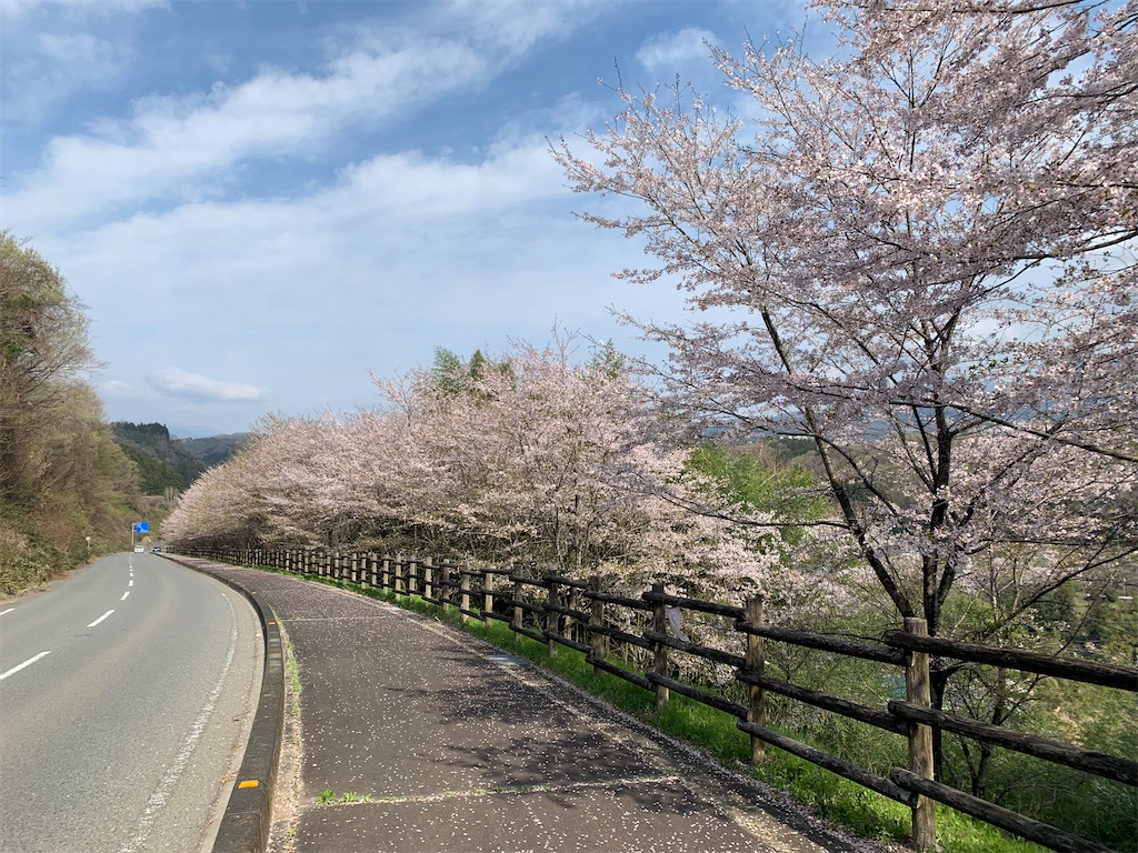 舞う花びら - Jito Day