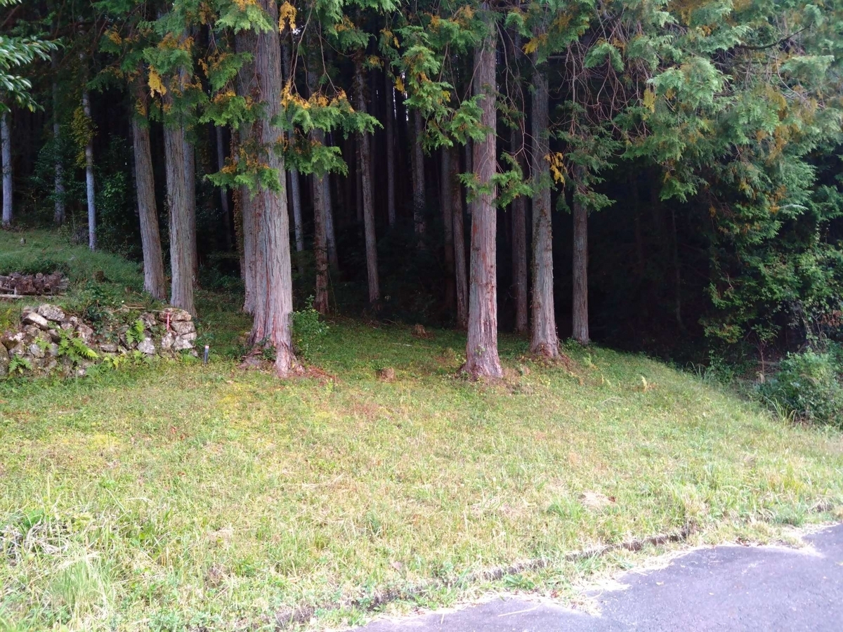 SOTA 点704 他 - 二刀流でQSO