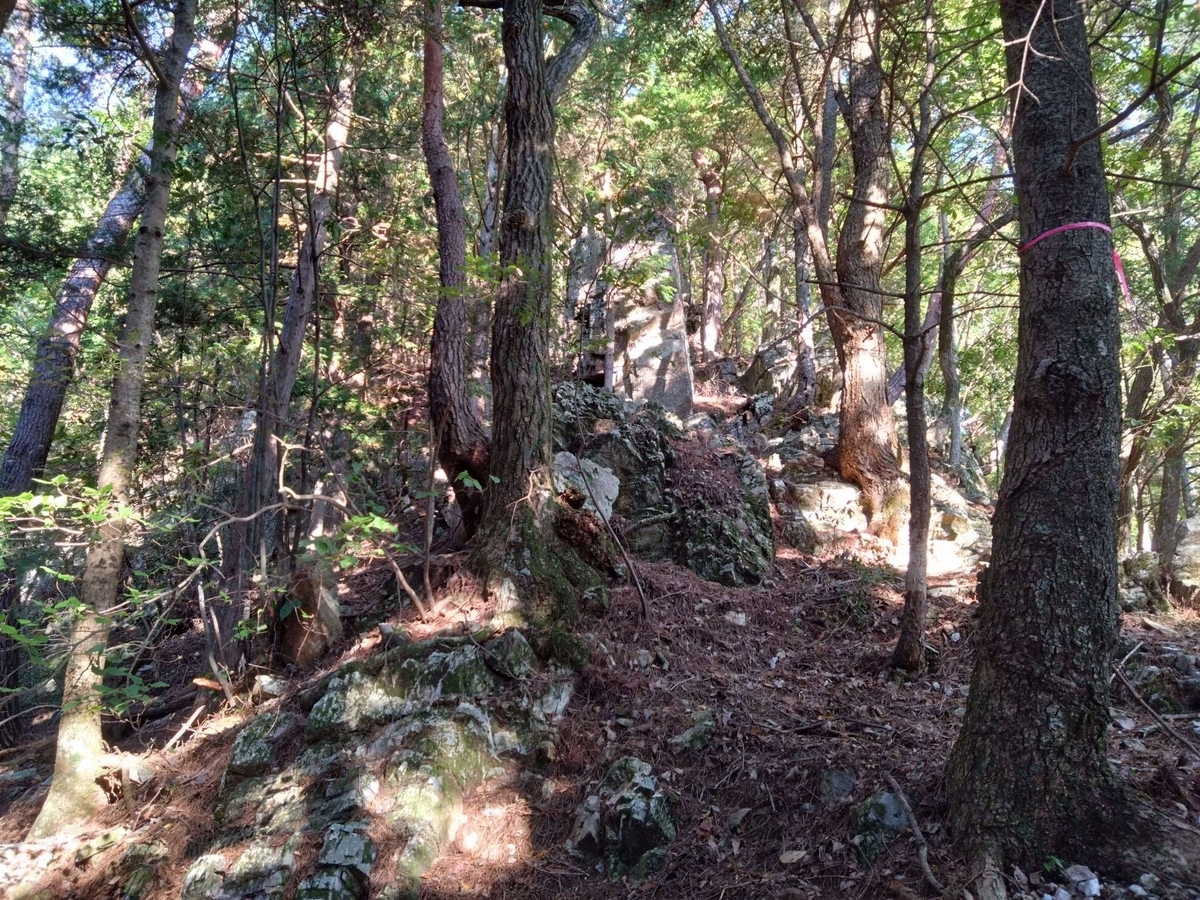 SOTA 点704 他 - 二刀流でQSO