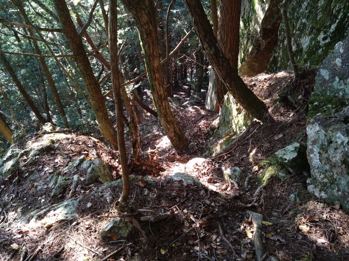 SOTA 点704 他 - 二刀流でQSO