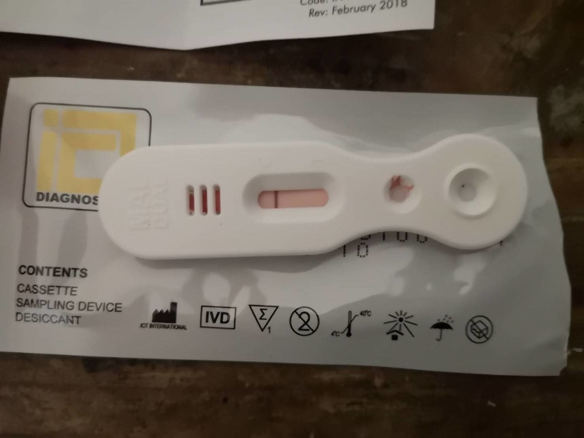 ナミビアにおけるマラリアの予防について - ナミビア 〜Nombili のんびり〜