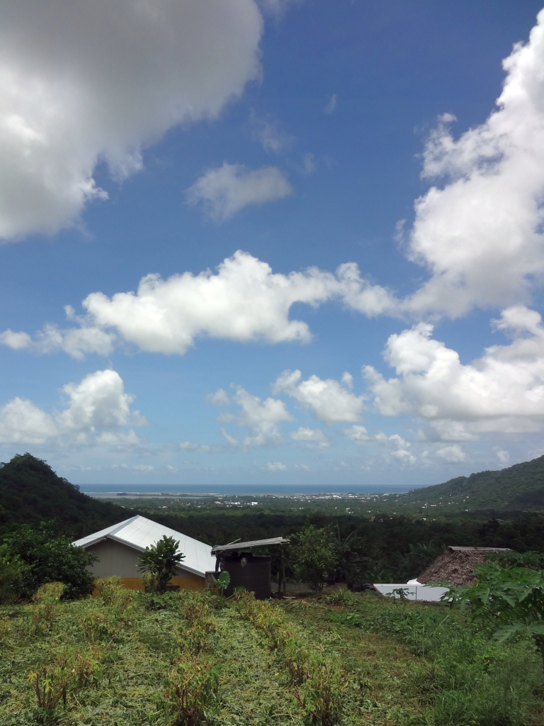 Samoan Rock - Notes in Apia