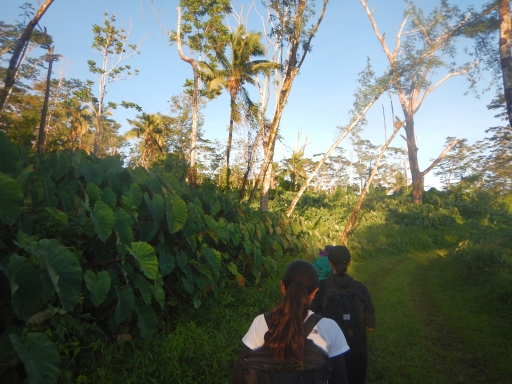 サモア最高峰、Mt.Silisiliへ！-3 - Notes in Apia