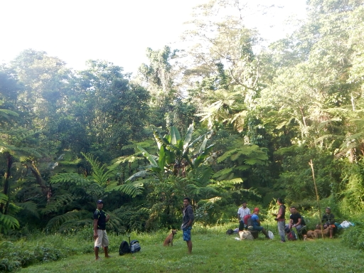 サモア最高峰、Mt.Silisiliへ！-3 - Notes in Apia