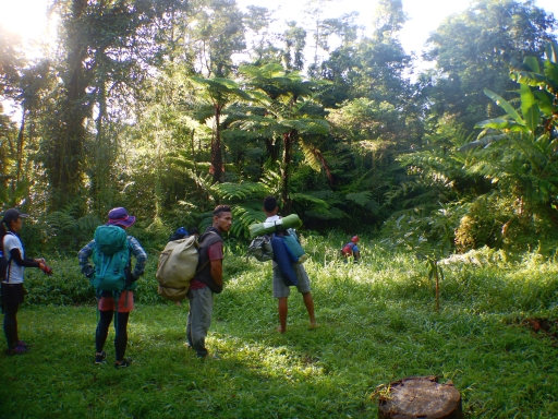 サモア最高峰、Mt.Silisiliへ！-3 - Notes in Apia