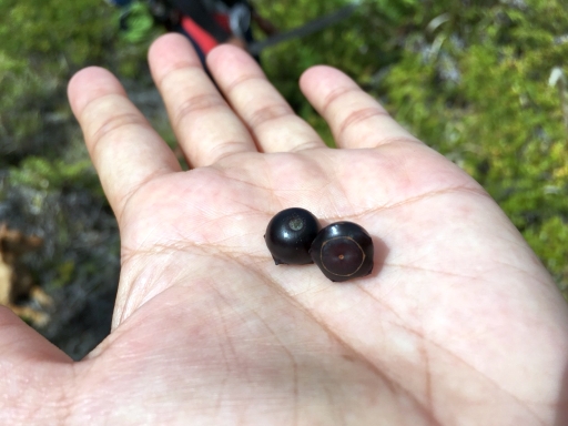 サモア最高峰、Mt.Silisiliへ！-3 - Notes in Apia