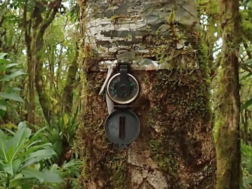 サモア最高峰、Mt.Silisiliへ！-4 - Notes in Apia