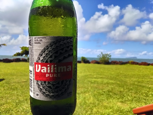 サモア最高峰、Mt.Silisiliへ！-4 - Notes in Apia