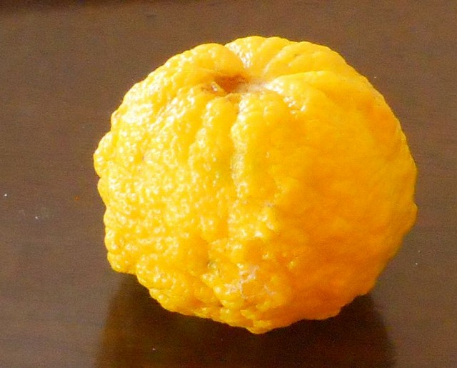 - junjunのはなまる日和＆ネパール