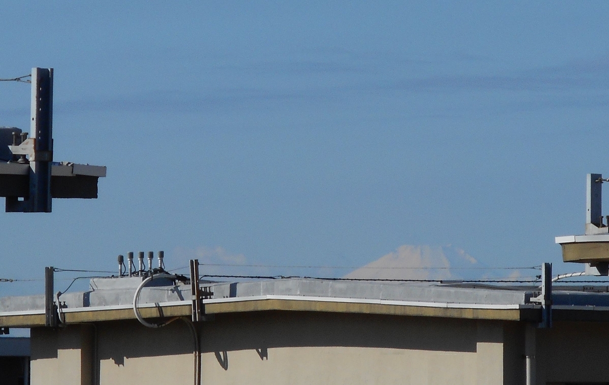 あけましておめでとうございます - junjunのはなまる日和＆ネパール