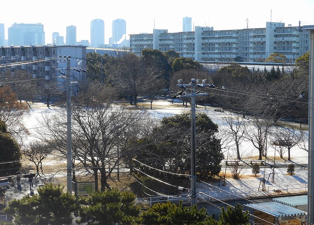 久しぶりの雪・・だけれど - junjunのはなまる日和＆ネパール
