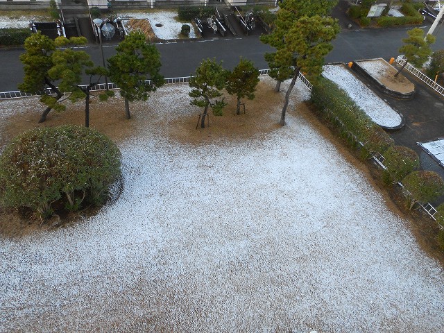 久しぶりの雪・・だけれど - junjunのはなまる日和＆ネパール