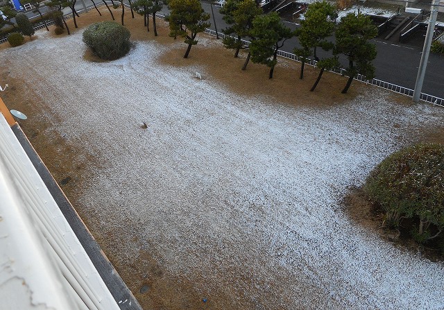 久しぶりの雪・・だけれど - junjunのはなまる日和＆ネパール