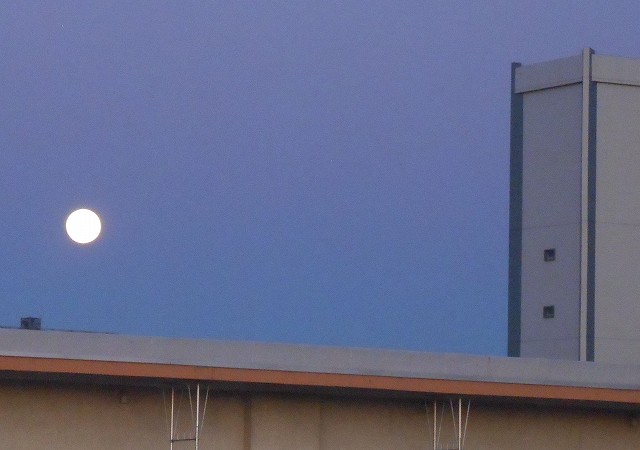 新年最初の満月 - junjunのはなまる日和＆ネパール