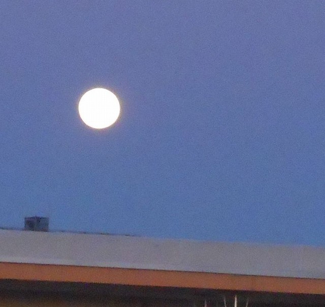 新年最初の満月 - junjunのはなまる日和＆ネパール
