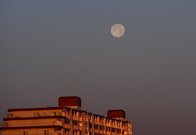 新年最初の満月 - junjunのはなまる日和＆ネパール