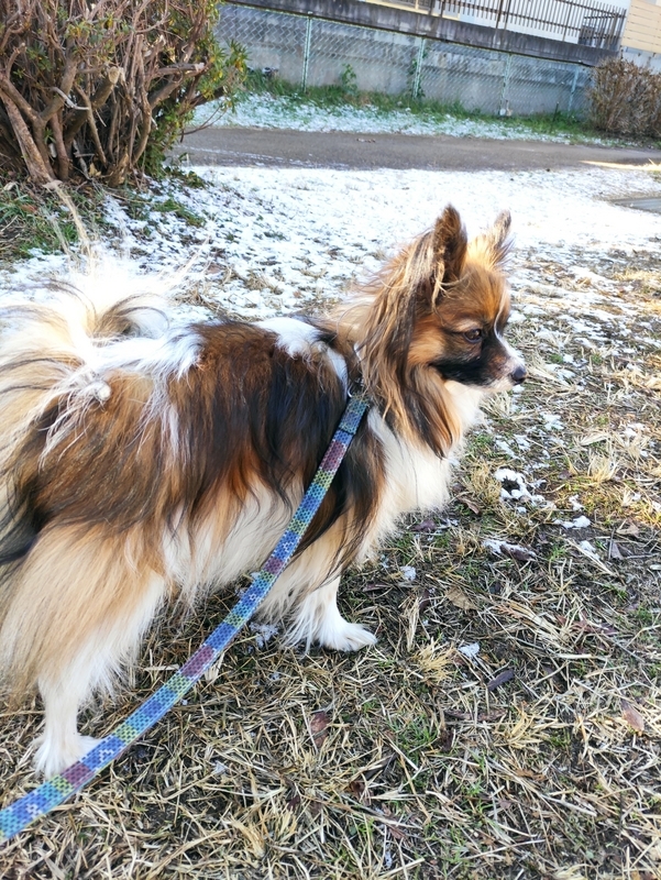 -数学- Lean4のお勉強 証明支援、rw, applyタクティク - Maxima で綴る数学の旅