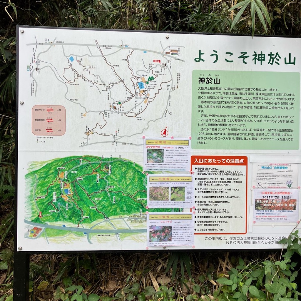 【大阪府岸和田】神於山で紅葉狩り！初心者ハイキングにおすすめ〜展望台までゆっくり40分 - ︎SweeTouring ︎