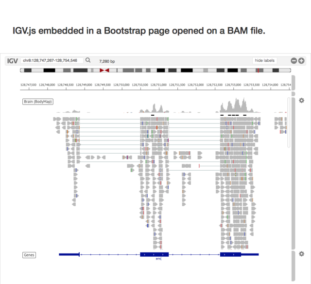 BAMファイルの閲覧 - kuroの覚え書き