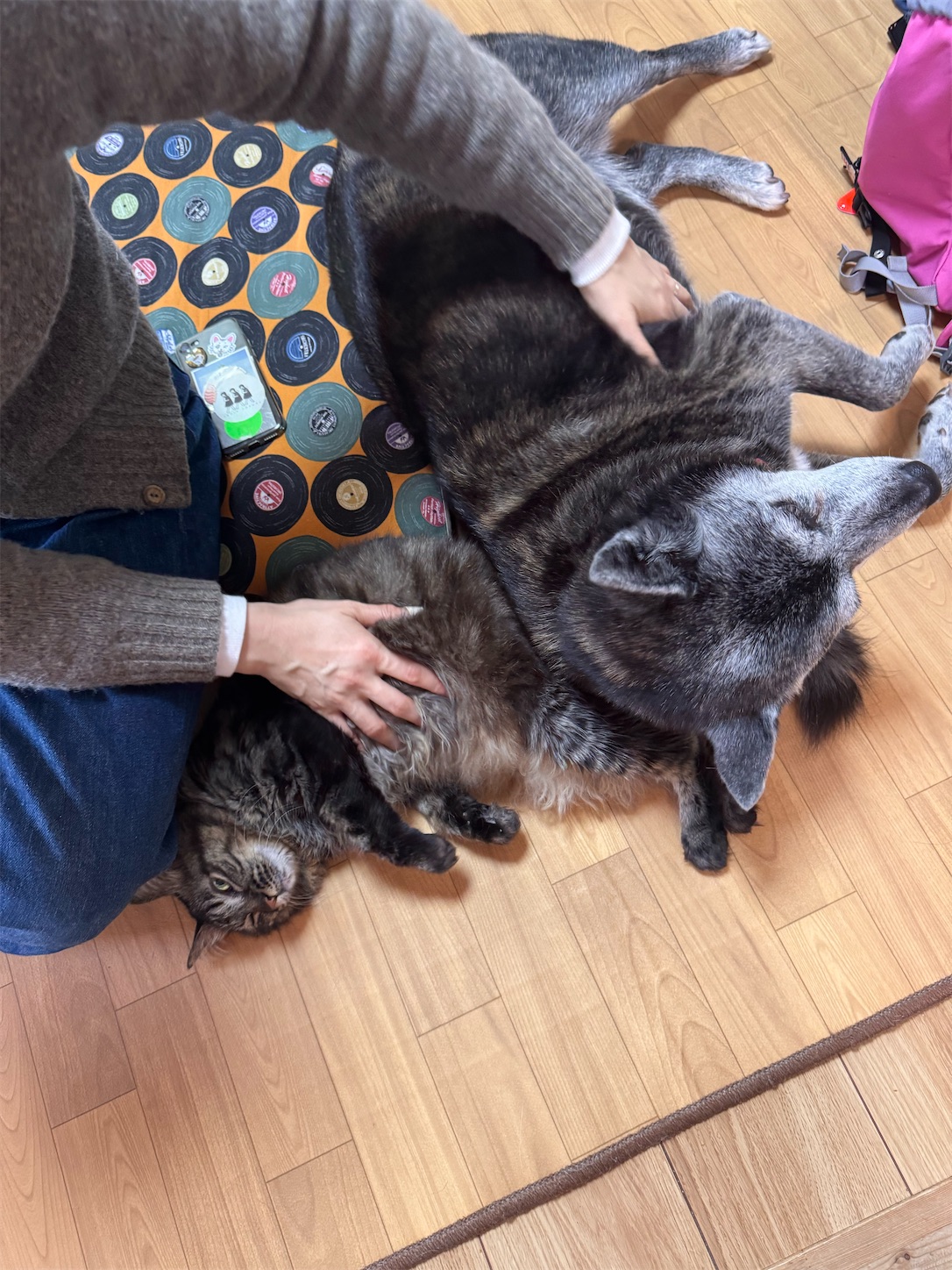 恒例の門松！ - ちいちゃん今日もウトウト・・・