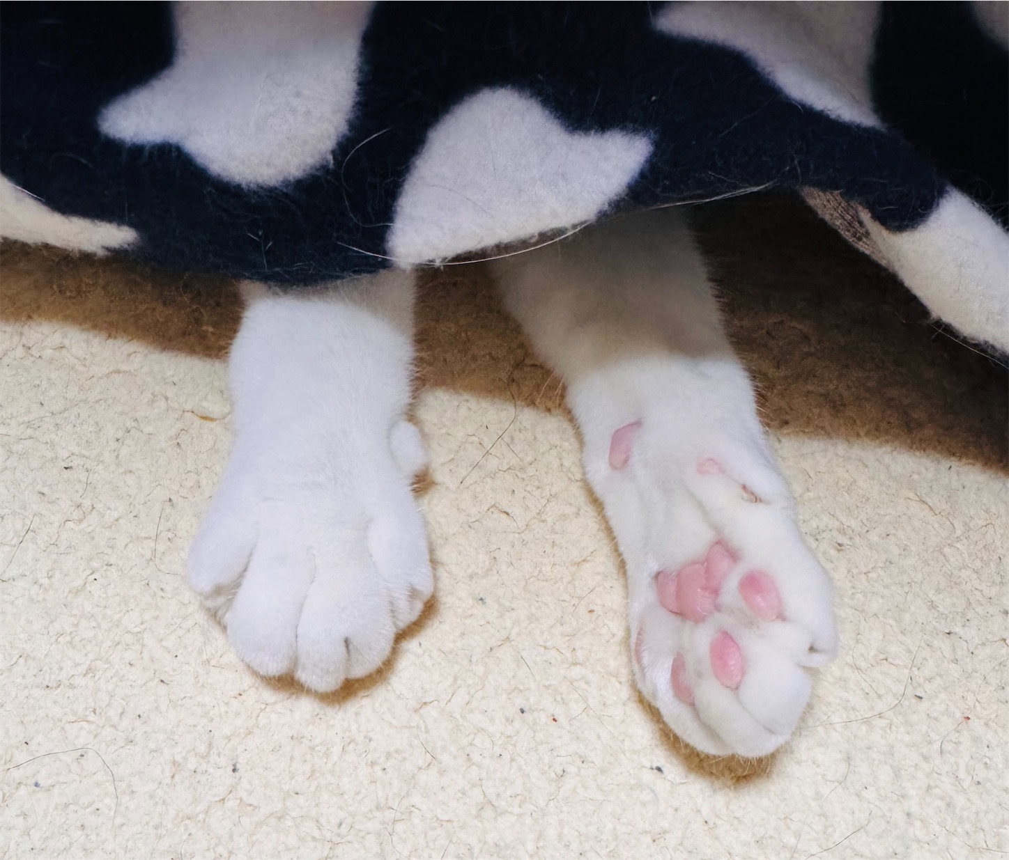 恒例の門松！ - ちいちゃん今日もウトウト・・・