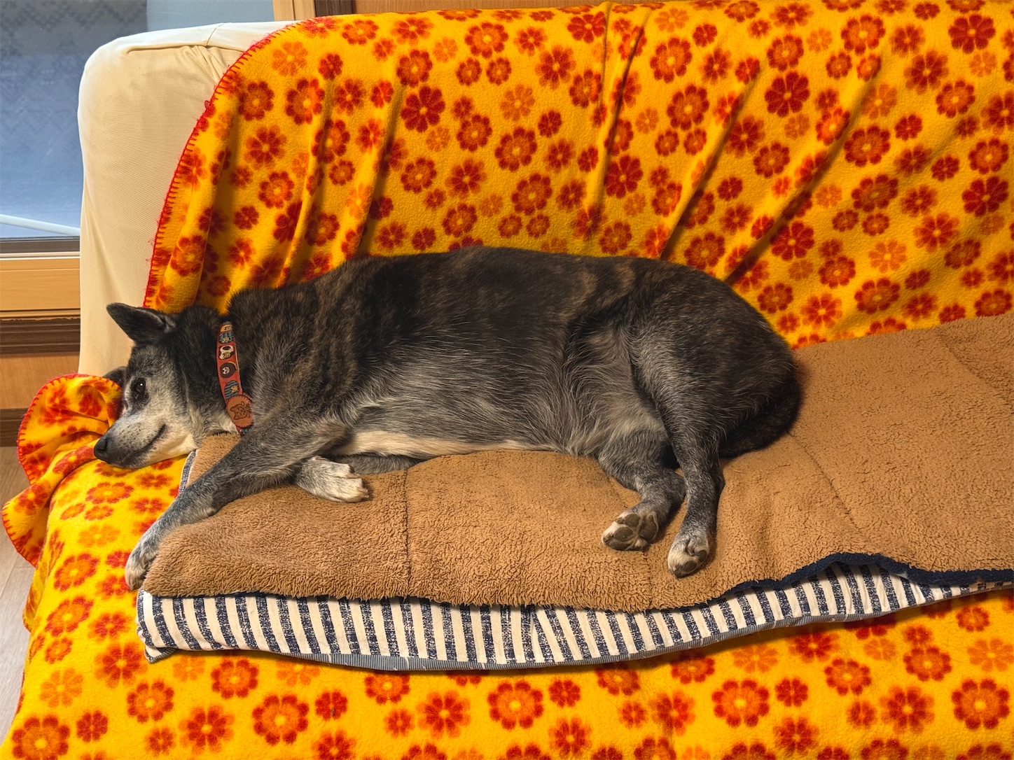 恒例の門松！ - ちいちゃん今日もウトウト・・・