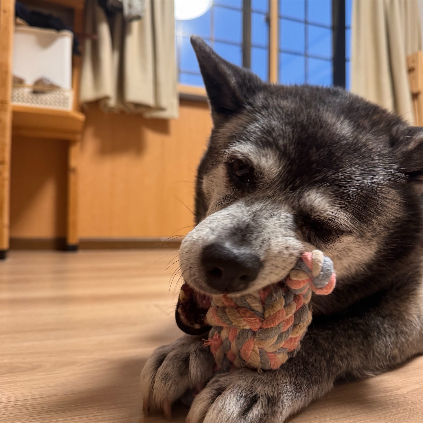 スケート！！ - ちいちゃん今日もウトウト・・・