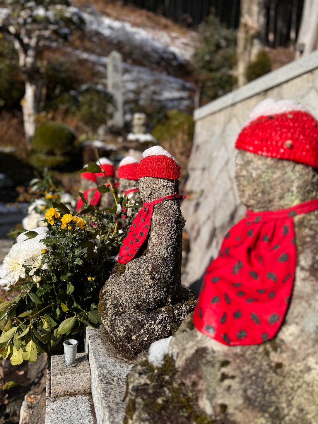 猫の腎臓病新薬・・ - ちいちゃん今日もウトウト・・・