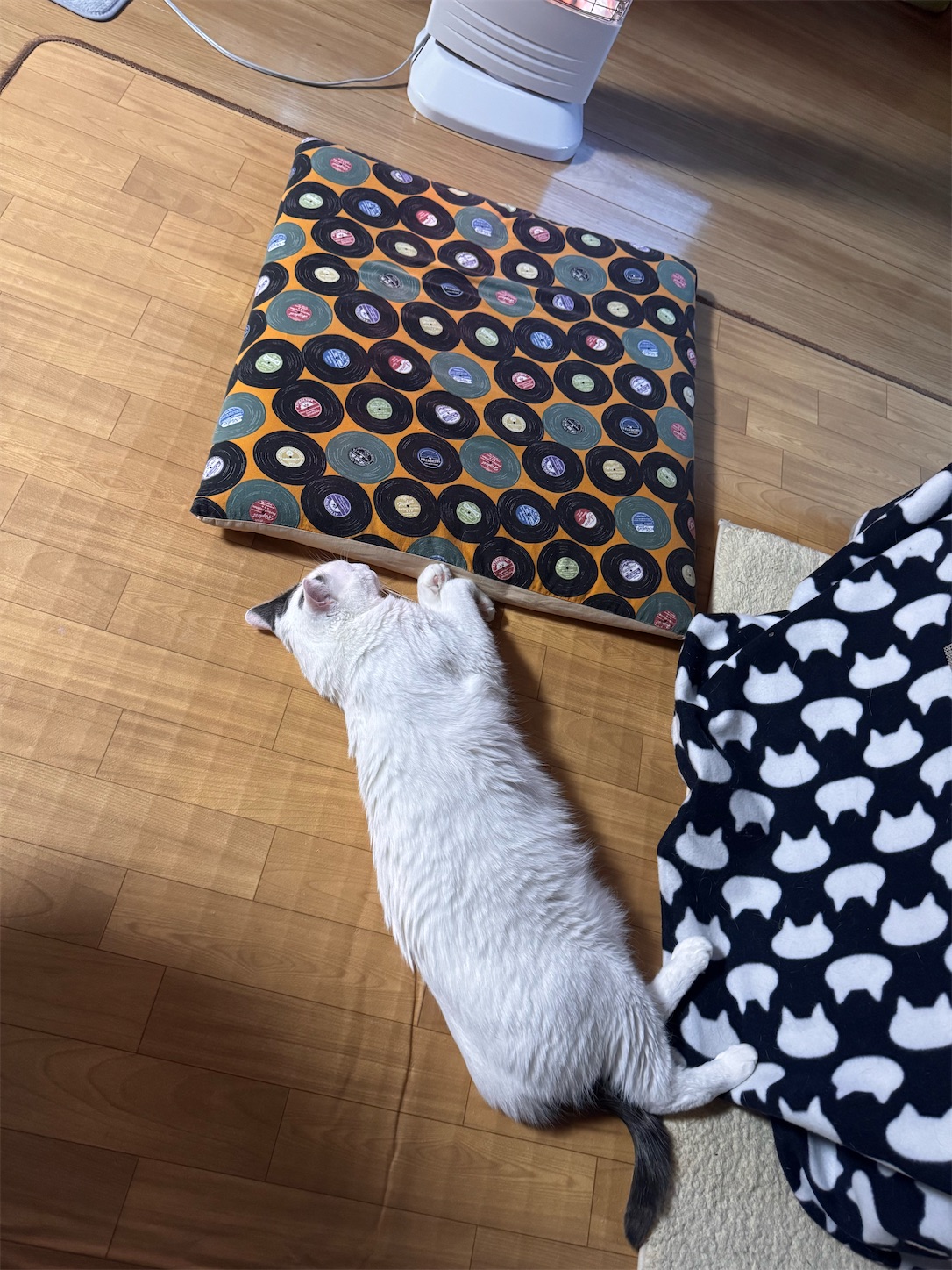 パッツン！ - ちいちゃん今日もウトウト・・・