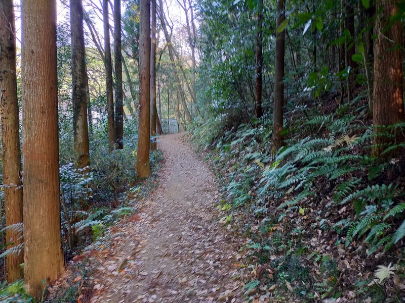 飯能市内を歩き多峰主山から天覧山、ムーミンバレーパークまで歩いてみた Encourage Of Climb 山登りと温泉への招待状