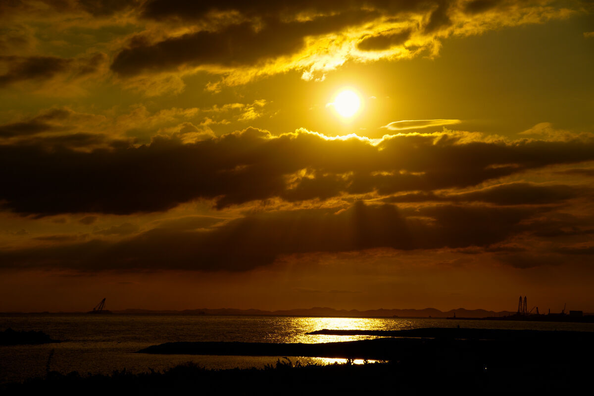 Vol. 245 おさんぽふぉと【夕刊】 - 呵々大笑 ～かかだいしょう～