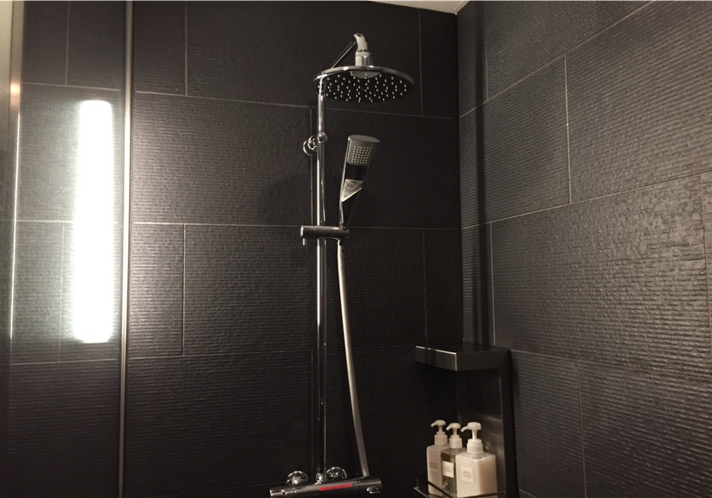 2019.5月ベルリン・ドブロブニク⑭JL515 HND→CTS F - kakifly100mのブログ