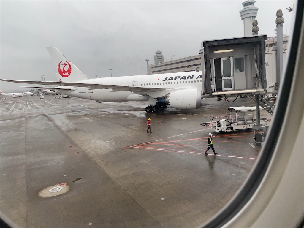 2020.9月 2度目の宮崎 ① JL500 CTS→HND F - kakifly100mのブログ