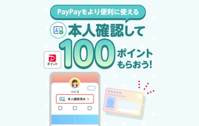 「PayPay改悪」問題は、脱PayPay経済圏で解決できる - KALMIA-WORKS