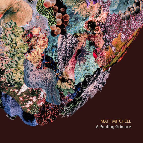 Matt Mitchell: A Pouting Grimace (2017)21世紀のthe second decadeのお終いに - K ...
