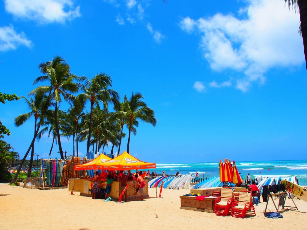 wave paradise - Utsuke Bron