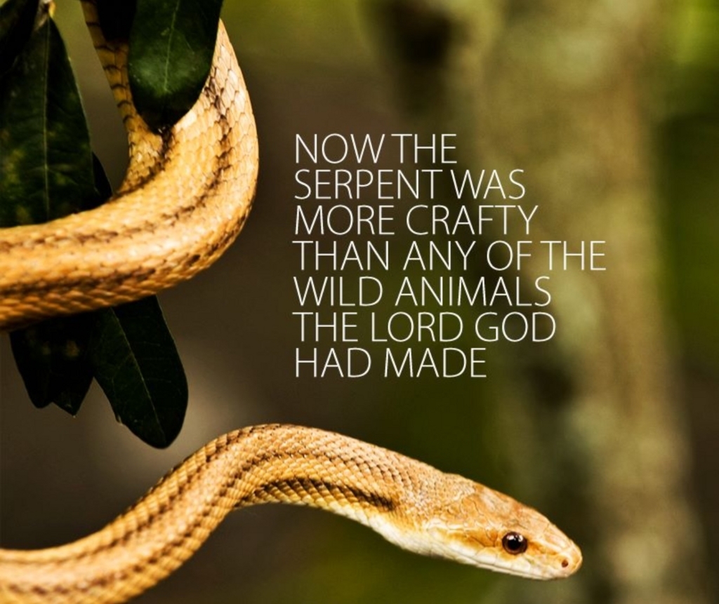 Tonight at some bar tonight - Utsuke Bron