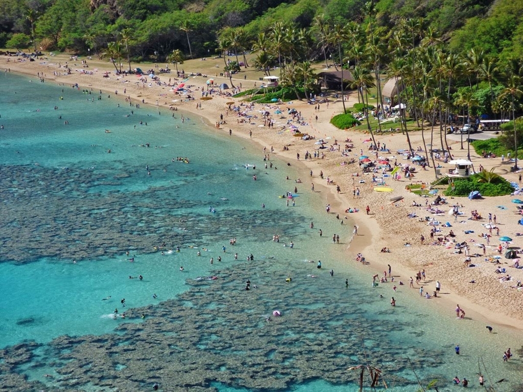 Tonight somewhere in the bar - Utsuke Bron