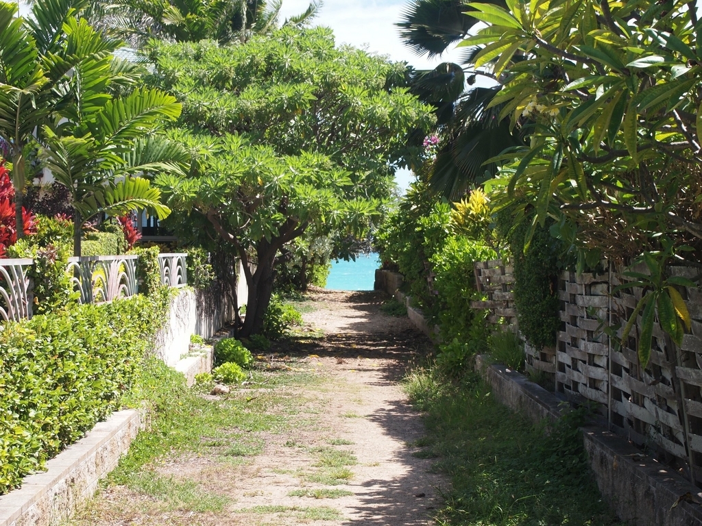 Tonight somewhere in the bar - Utsuke Bron