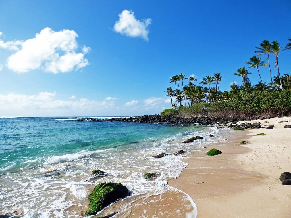 Tonight somewhere in the bar - Utsuke Bron