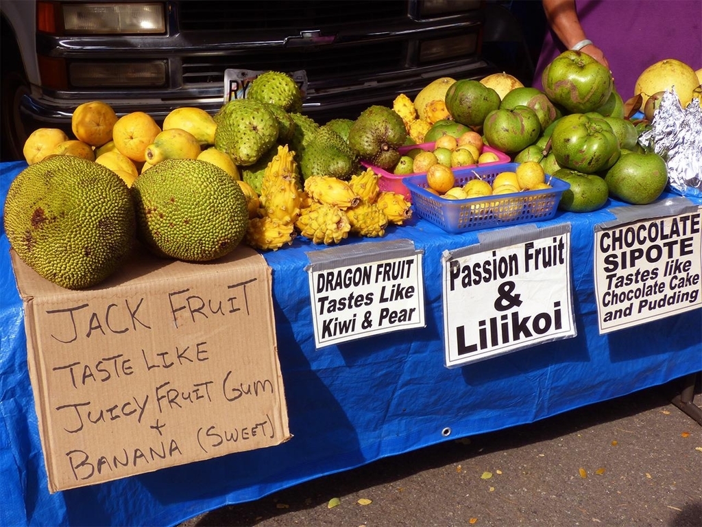 Endless Escape - Utsuke Bron